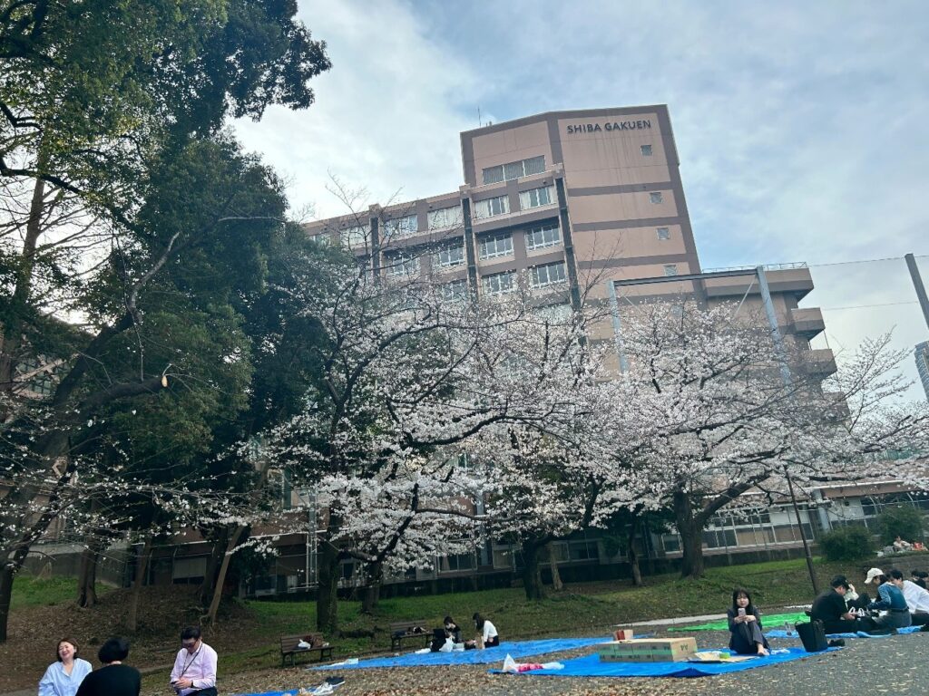 東京エリアお花見開催！ | 株式会社Cloud Soft（クラウドソフト）SESで自由な働き方を株式会社Cloud Soft（クラウドソフト）